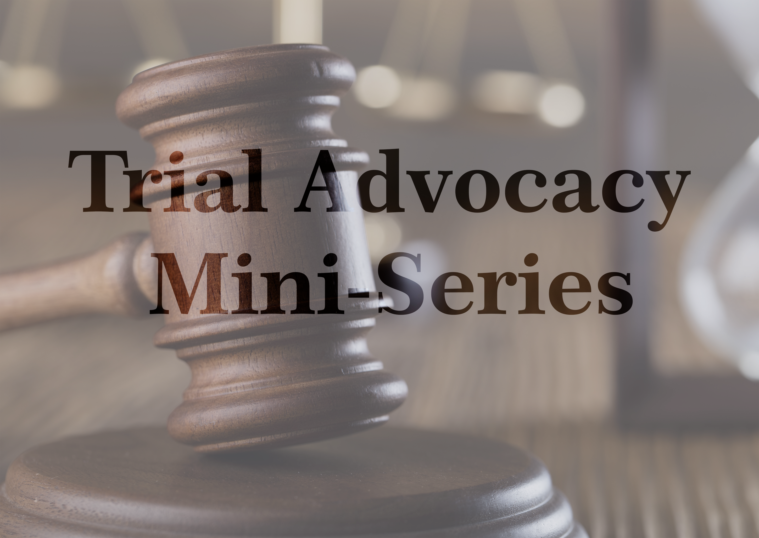 Trial Advocacy Programs Archives - The Skilled Advocate Company - The ...